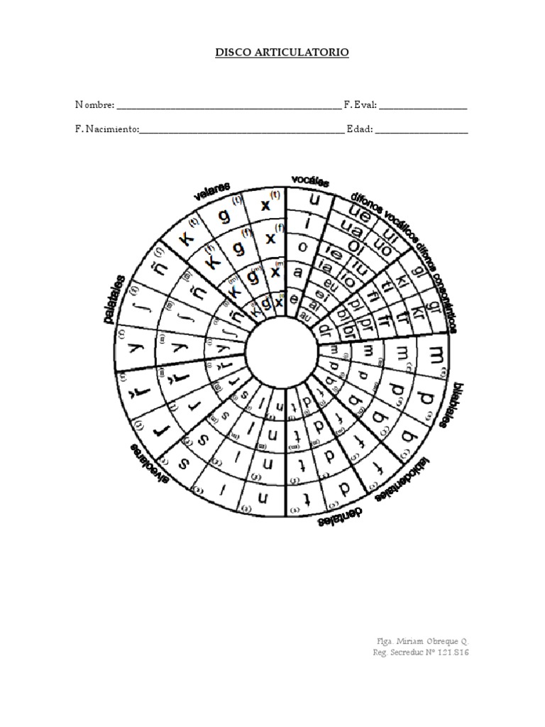 Disco Articulatorio | PDF