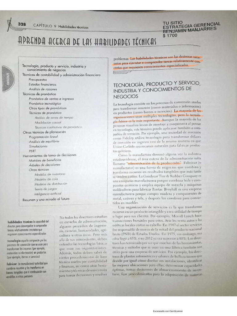 Habilidades Técnicas Ricky Griffin PDF | PDF