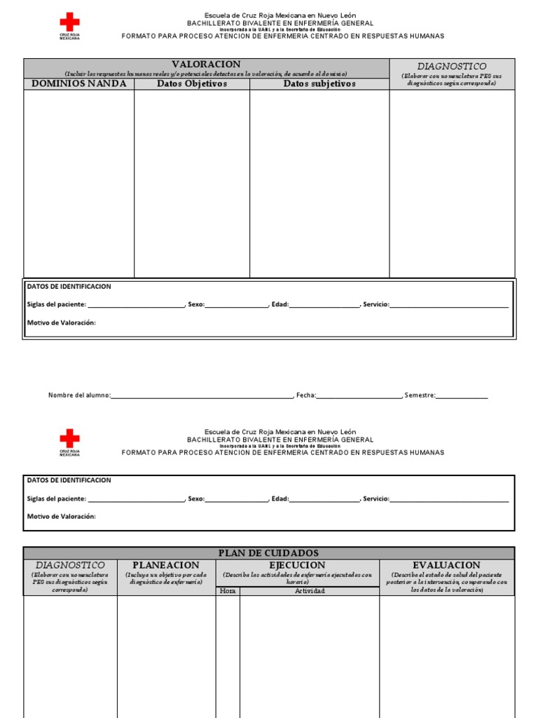 Formato para el proceso de atención de enfermería centrado en las respuestas humanas | PDF ...