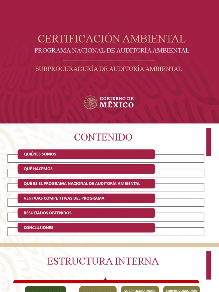 Presentacion PNAA - VC.Nov.2020 | PDF | Auditoría | Entorno natural