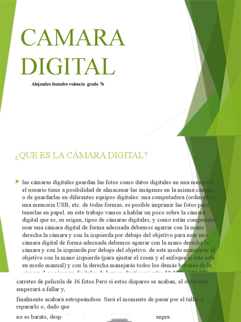 Guía Completa de Cámaras Digitales | PDF | Cámara digital | Imagen