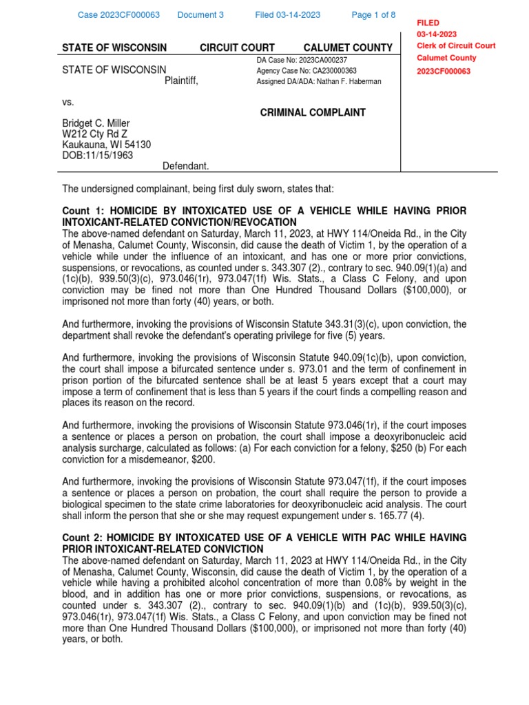 Bridget C. Miller Homicide Charges | PDF | United States Federal ...