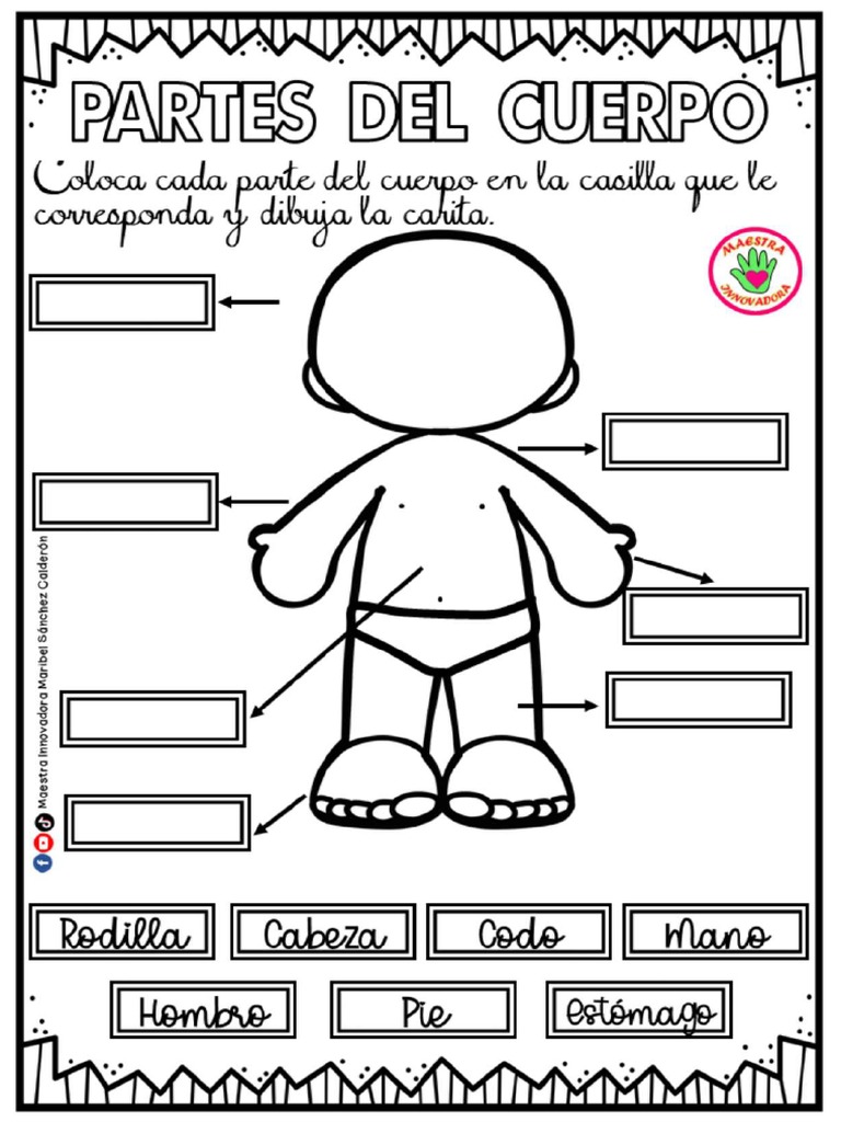 Fichas Del Cuerpo Humano Pdf