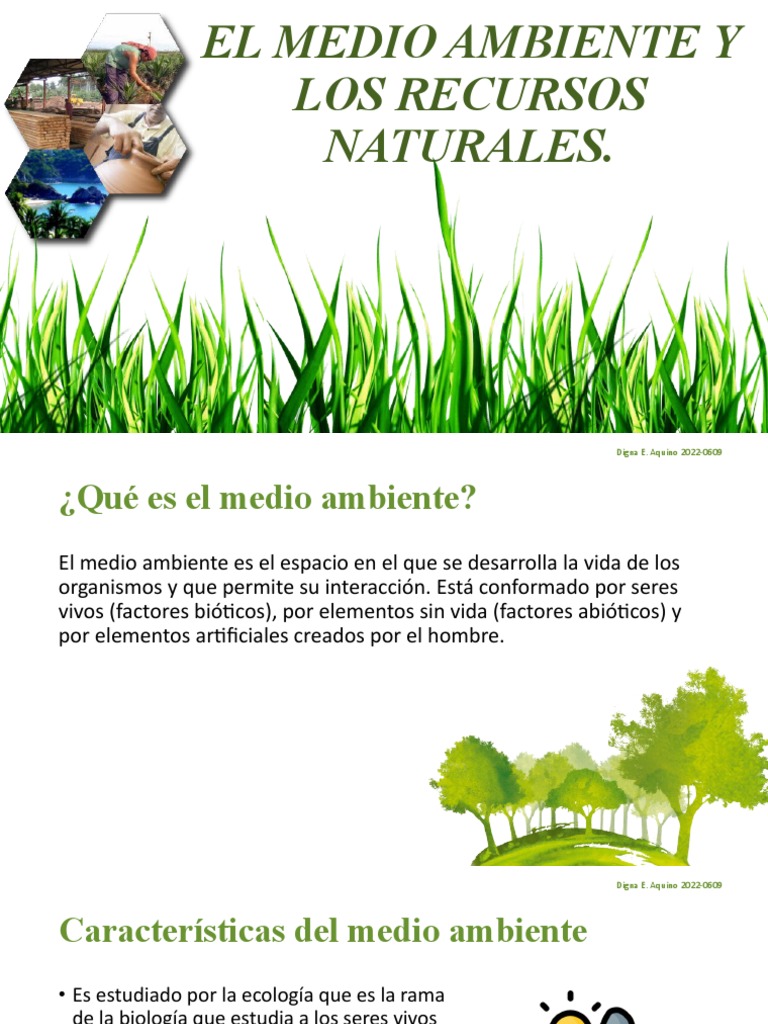 El Medio Ambiente y Los Recursos Naturales | PDF | Ciencia y matemáticas