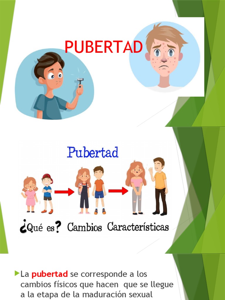 Cambios en la Pubertad y Adolescencia | PDF