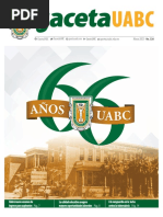 ¿Qué Es El AGEB? | PDF