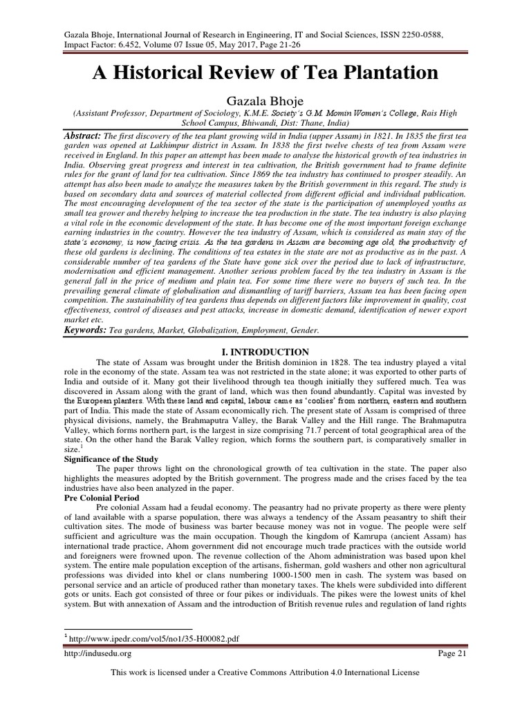 A Historical Review of Tea Plantation PDF | PDF | Tea | Labour Economics