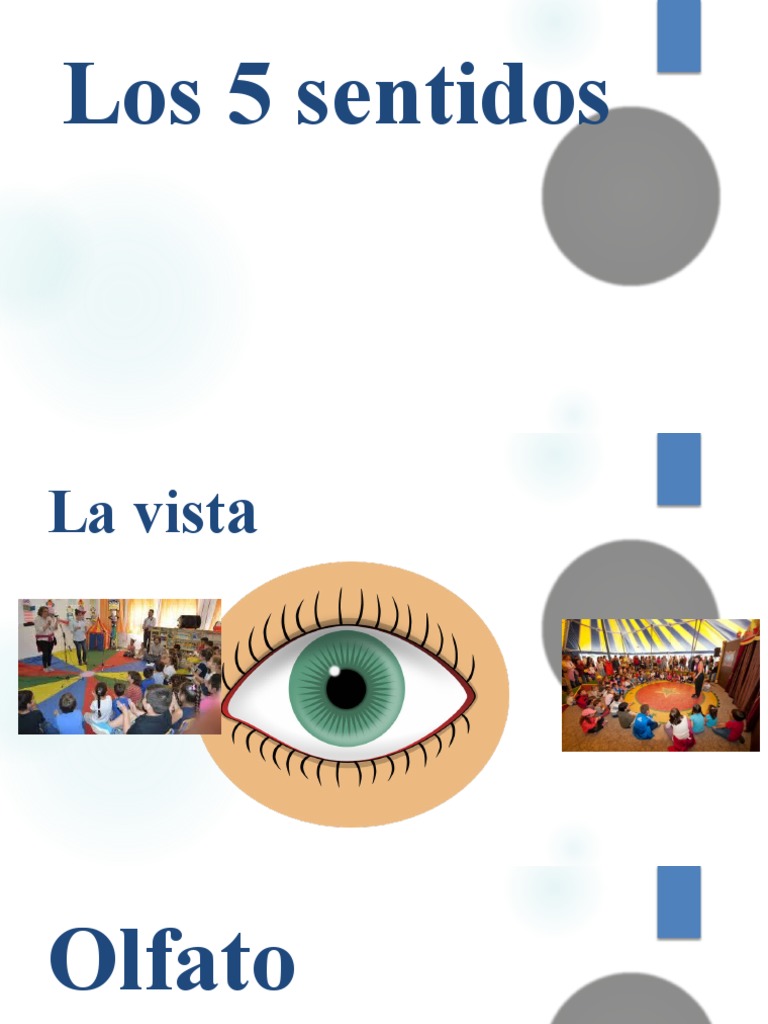 Los 5 Sentidos | PDF