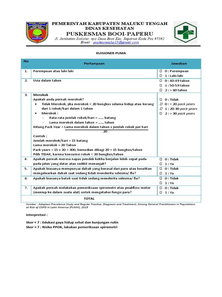 Kuisioner Puma | PDF