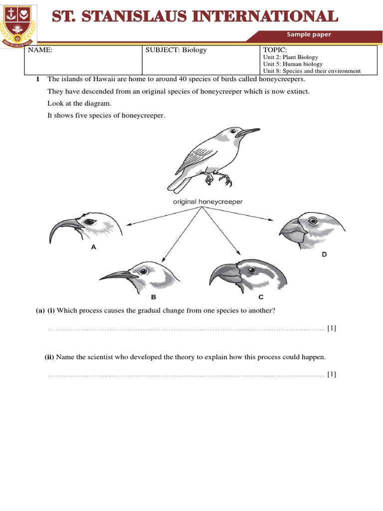GR 8 - Biology - Sample Paper - 22 - 23 - T2 | PDF | Leaf | Plant Stem