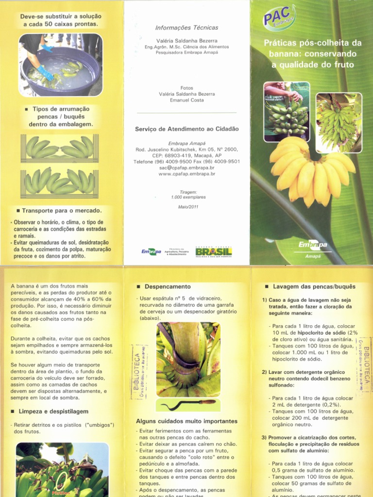 CPAF AP 2011 Folder Banana PDF | PDF | Agricultura | Química