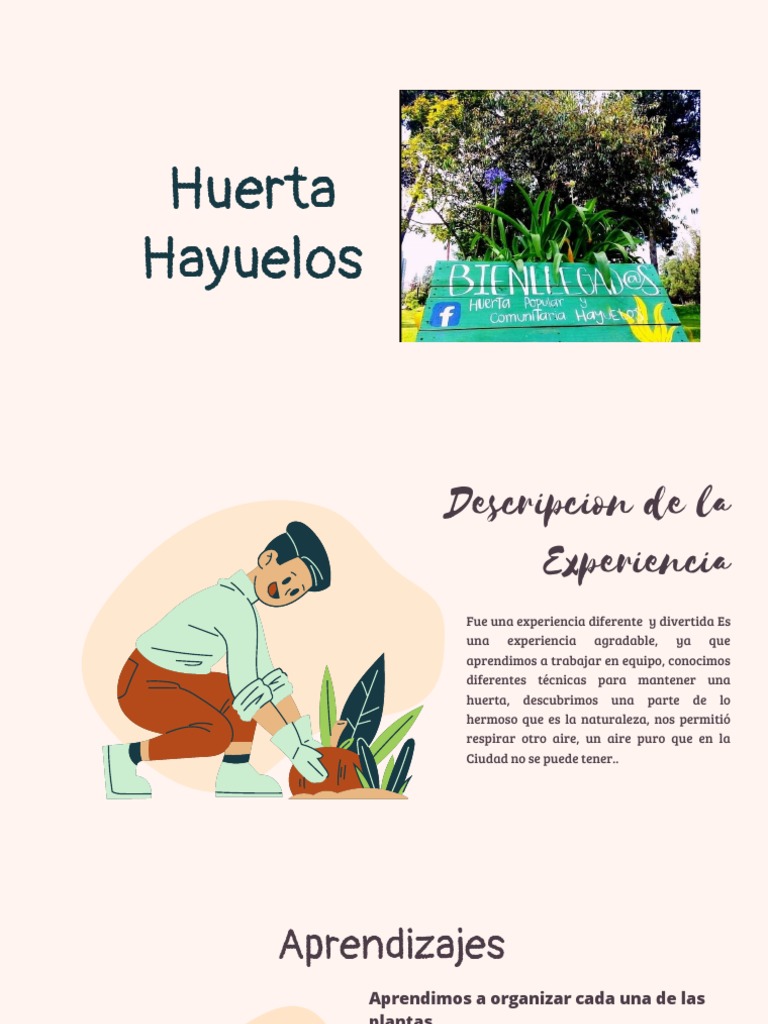 Huerta Escolar: Aprendizajes y Experiencias | PDF