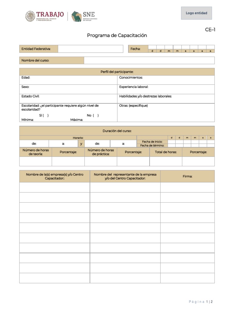 Formatos de Programa de Capacitación 2020 | PDF | Privacidad de la información