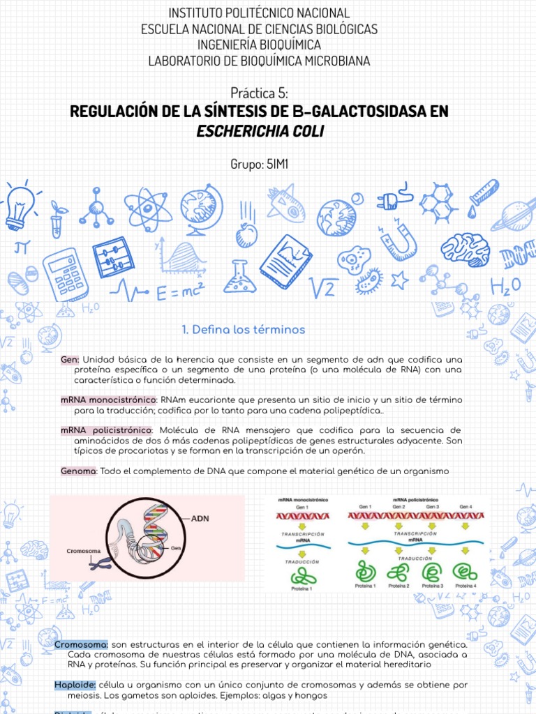 B Galactosidasa | PDF | Rna | Adn