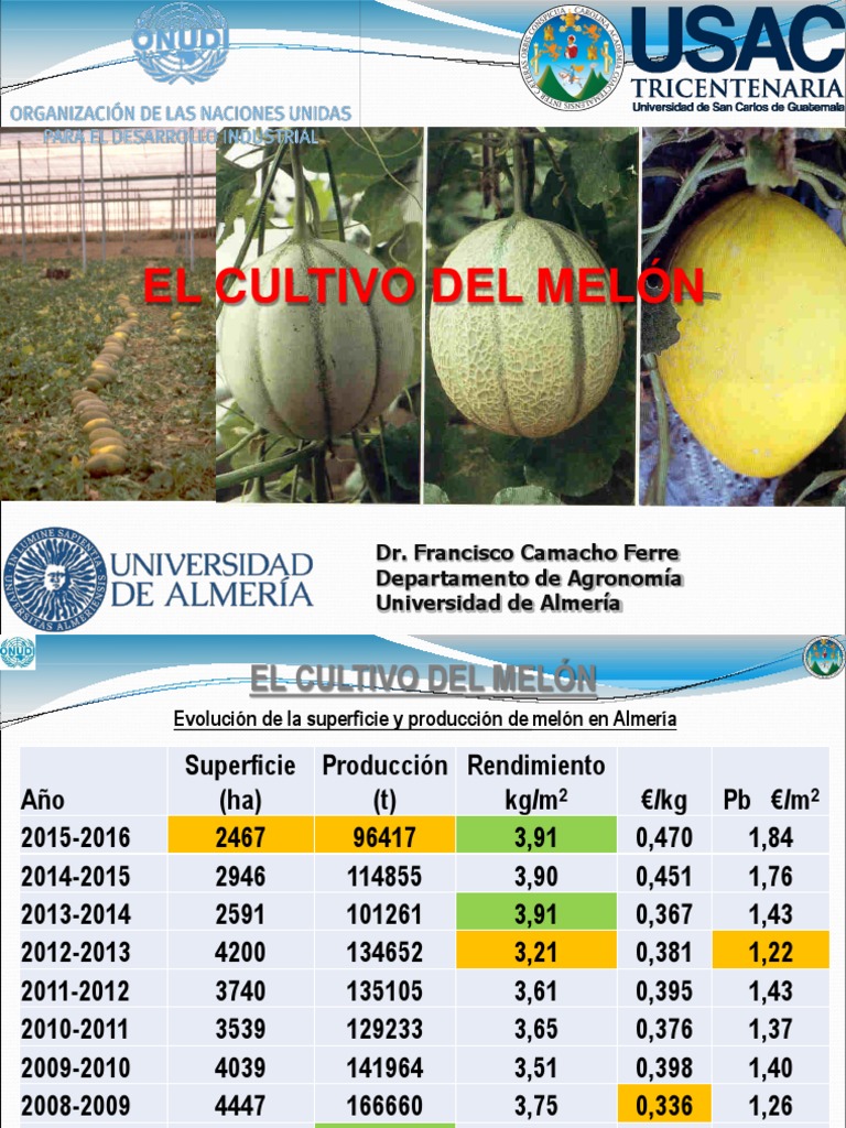 Guía Completa del Cultivo de Melón | PDF | Plantas | Botánica