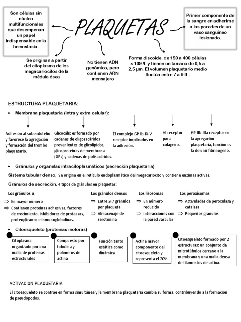 PLAQUETAS | PDF | Plaqueta | Citoplasma