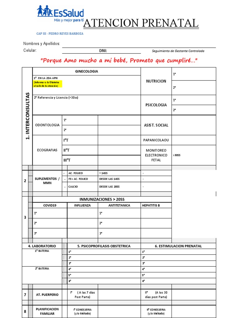 Atencion Prenatal - Seguimiento | PDF | Maternidad | Politica de salud