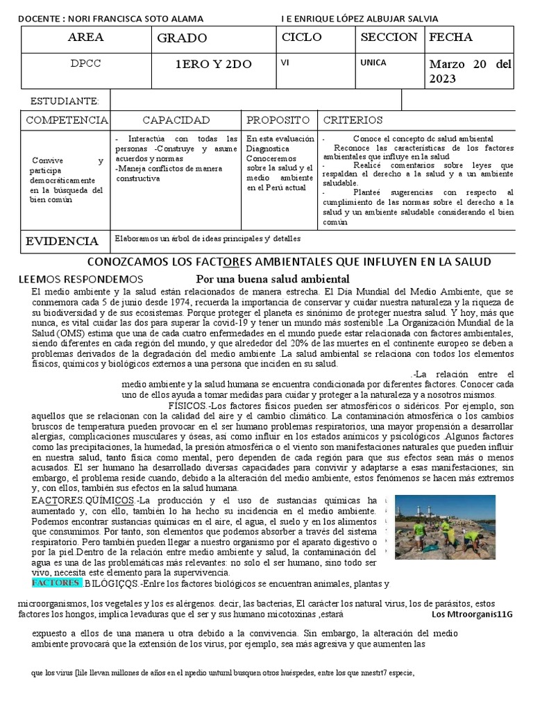 Evaluacion Diagnostica - 1ero y 2do Grado-Dpcc - 00001-1 | PDF | Entorno natural | Las emociones