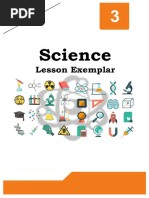 DLP Science 4 Food Chain | PDF | Learning | Foods