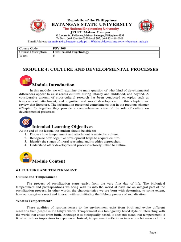 Module 4 - Culture and Developmental Processes | PDF | Attachment ...