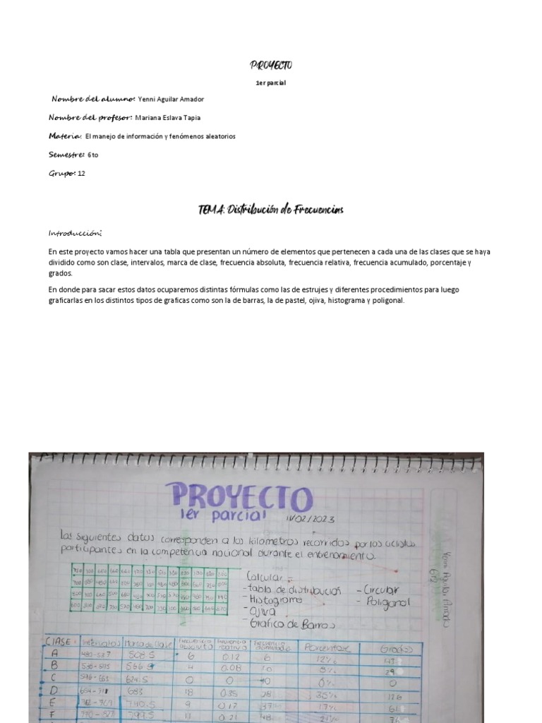 Proyecto PDF | PDF