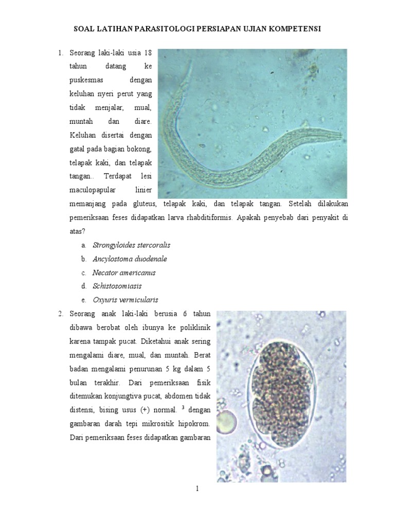 Soal Parasitologi | PDF