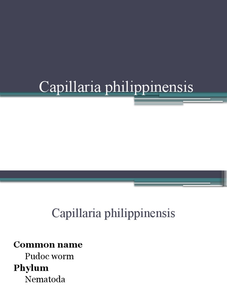 Capillaria philippinensis: A Parasitic Nematode Causing Intestinal ...