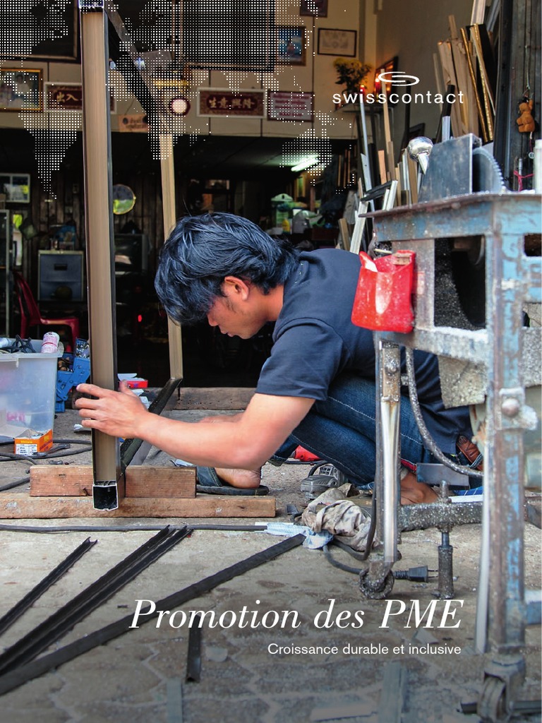 Brochure Promotion Des PME PDF | PDF | Petite ou moyenne entreprise | Innovation