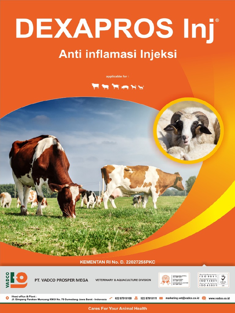 DEXAPROS INJ - Brosur - A4 - Un PDF | PDF