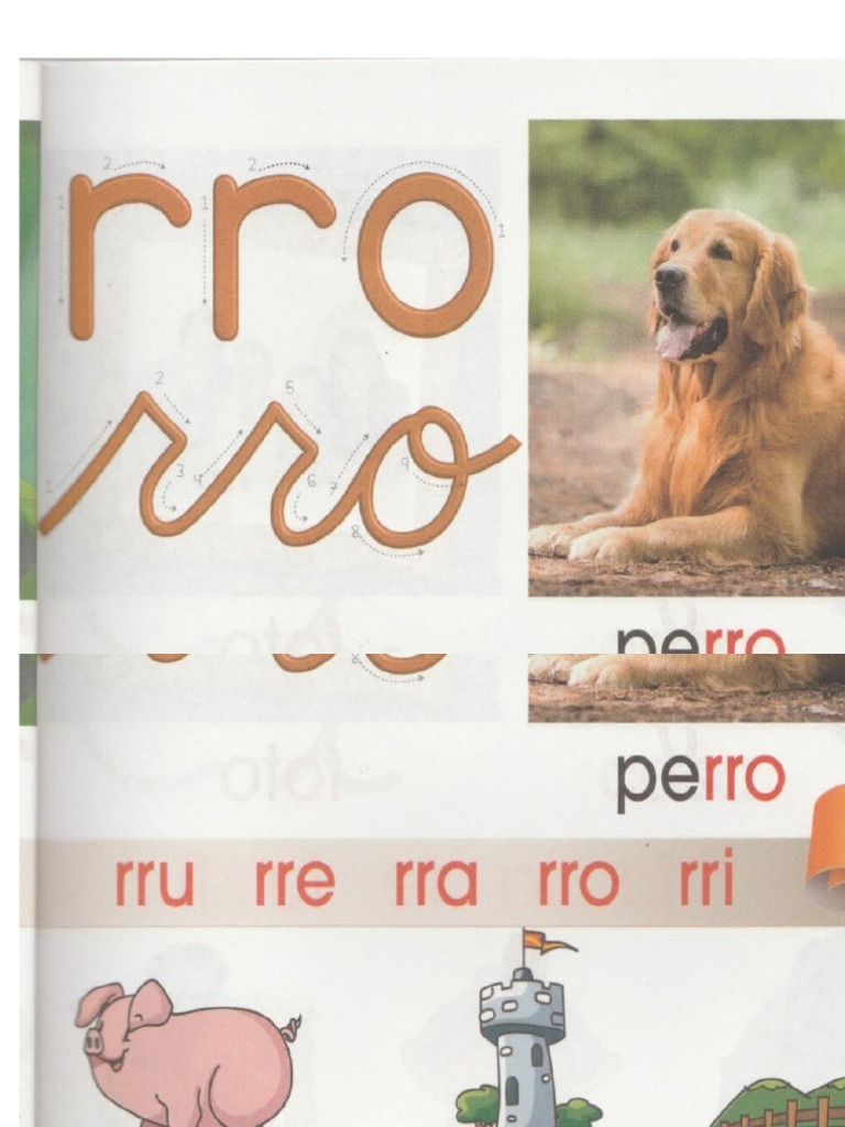 Rra, Rre, Rri, Rro, Rru | PDF