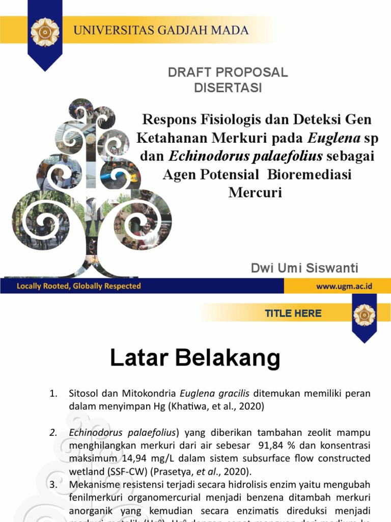 Template Presentasi (Square) - Ugm | PDF