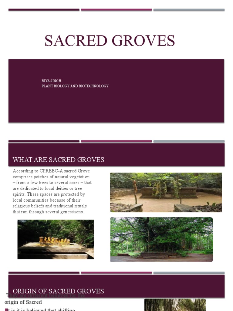 Sacred Groves: Riya Singh Plant Biology and Biotechnology | PDF | Conservation Biology | Natural ...