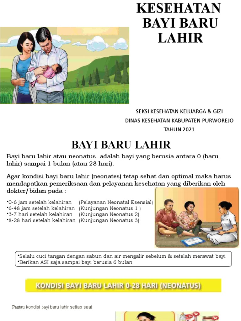 Panduan Perawatan Bayi Baru Lahir | PDF