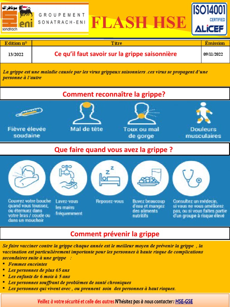 Flash HSE 13-2022 | PDF