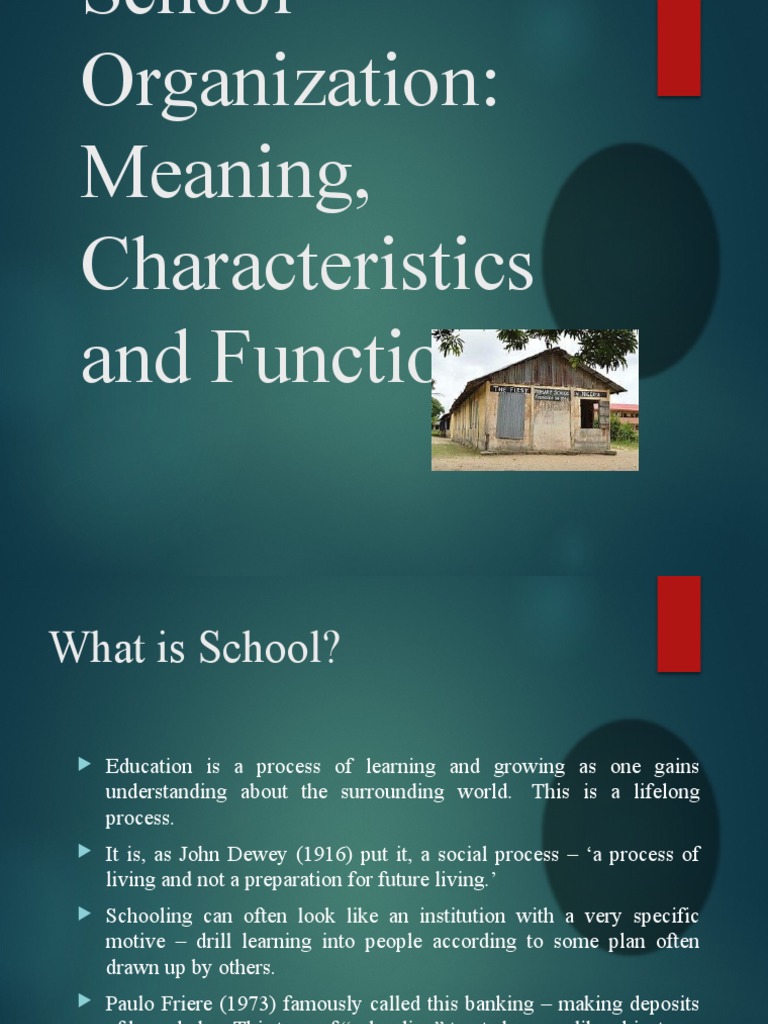 Understanding School Organization | PDF