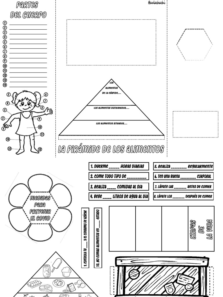Lapbook Castellano La Salud | PDF | Salud y bienestar