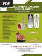 Osteology of The Goat | PDF | Vertebra | Vertebral Column