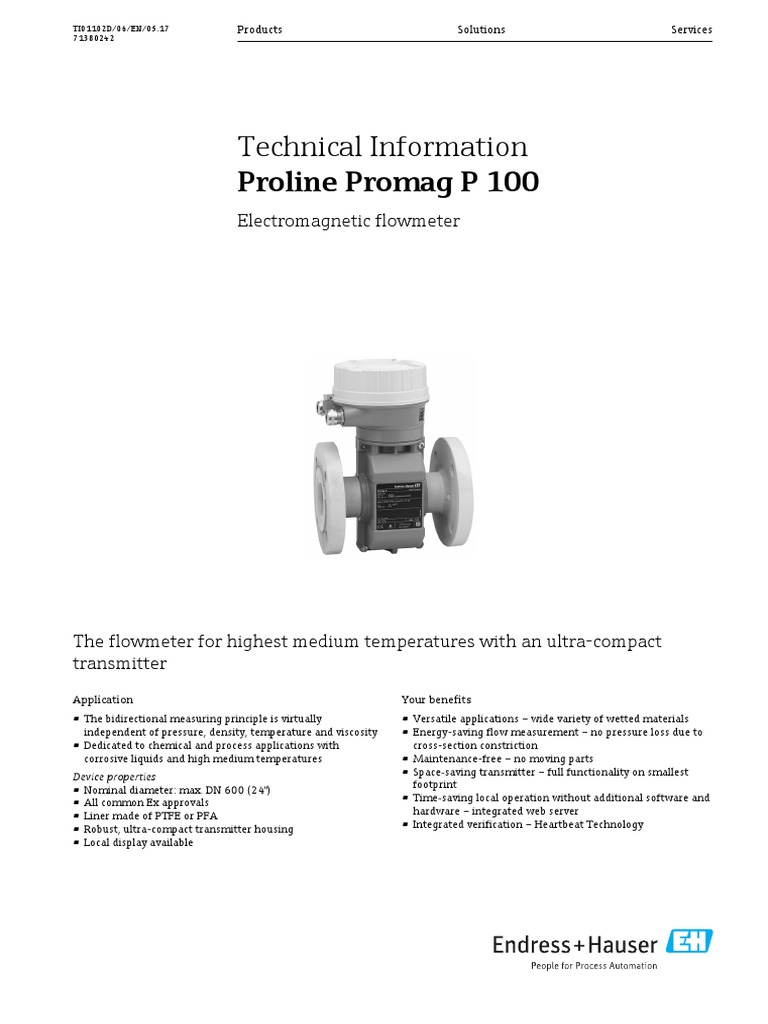 Promag P100 | PDF | Electromagnetic Induction | Computer Engineering
