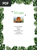 Anatomía y Sistemas del León | PDF | Riñón | Artería
