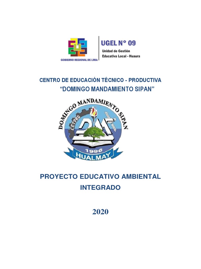 Proyecto Educativo Ambiental Integral 2020 - CETPRO DMS | PDF | Sustentabilidad | Desarrollo ...