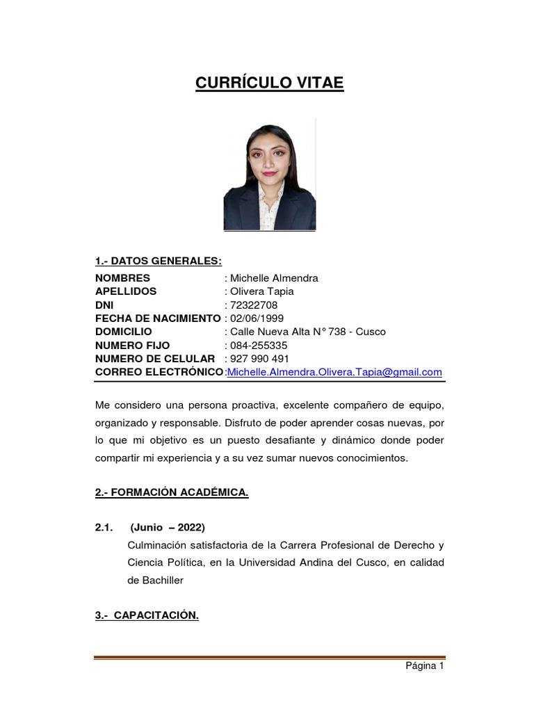 Michelle Olivera: CV y Formación Legal | PDF | Perú | Informática