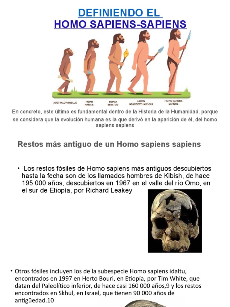 Definiendo El Homo Sapiens-Sapiens | PDF | Homo Sapiens | Homo