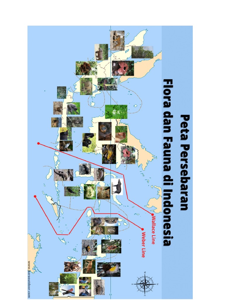 Flora Dan Fauna Geografi | PDF