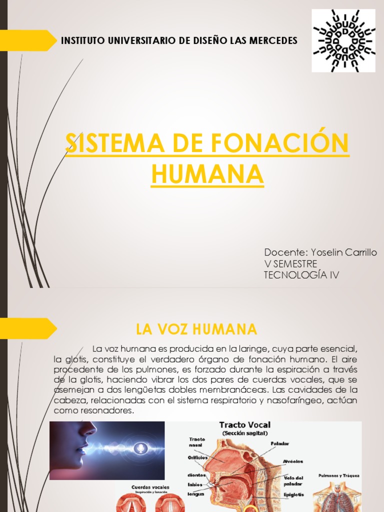 Sistema de Fonación Humana | PDF