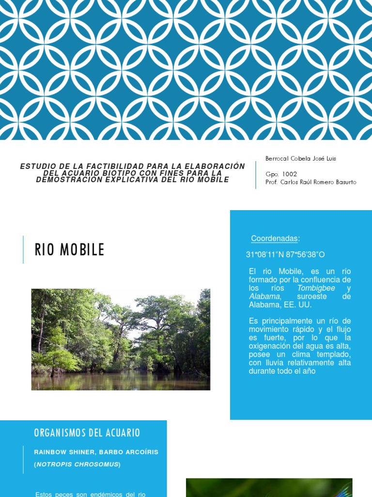Acuario Biotipo Rio Mobile | PDF | Acuario | Organismos
