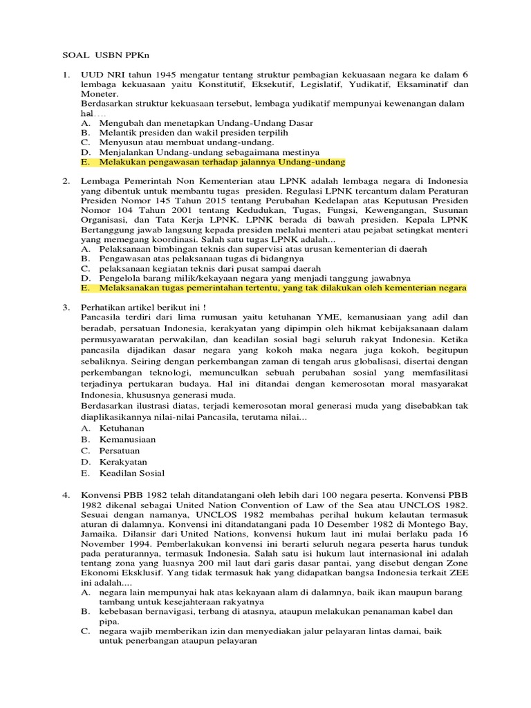 PKN Us | PDF