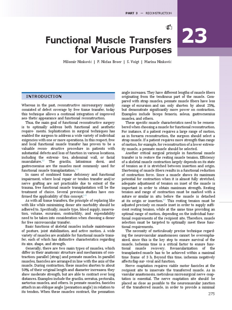 Flaps and Reconstructive Surgery (PDFDrive) - 410-429 | PDF | Abdomen ...