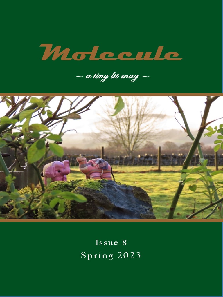Molecule: A Tiny Lit Mag. Issue 8. Spring 2023. | PDF