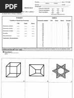 VMI Percepcion Visual | PDF
