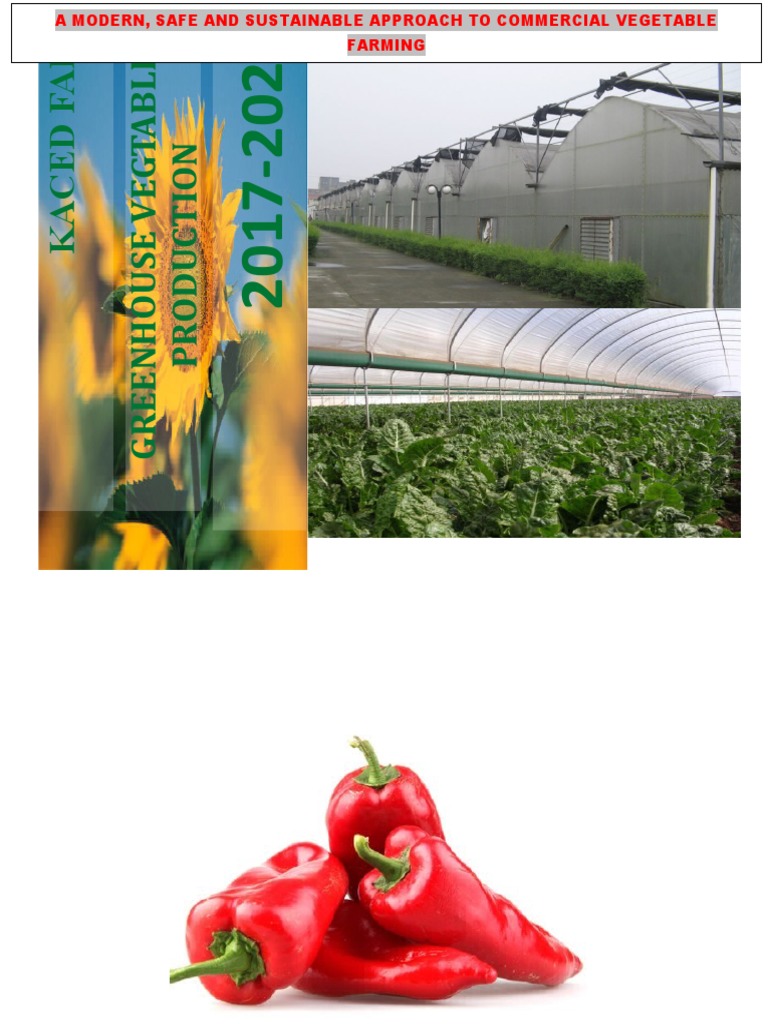 Greenhouse Vegetable Bus Plan-Final Revised 10-6-15 | PDF | Chili ...